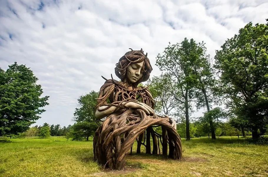 谱写自然与生命的乐章 | 丹尼尔·波普尔_浮美术馆-浮美术馆